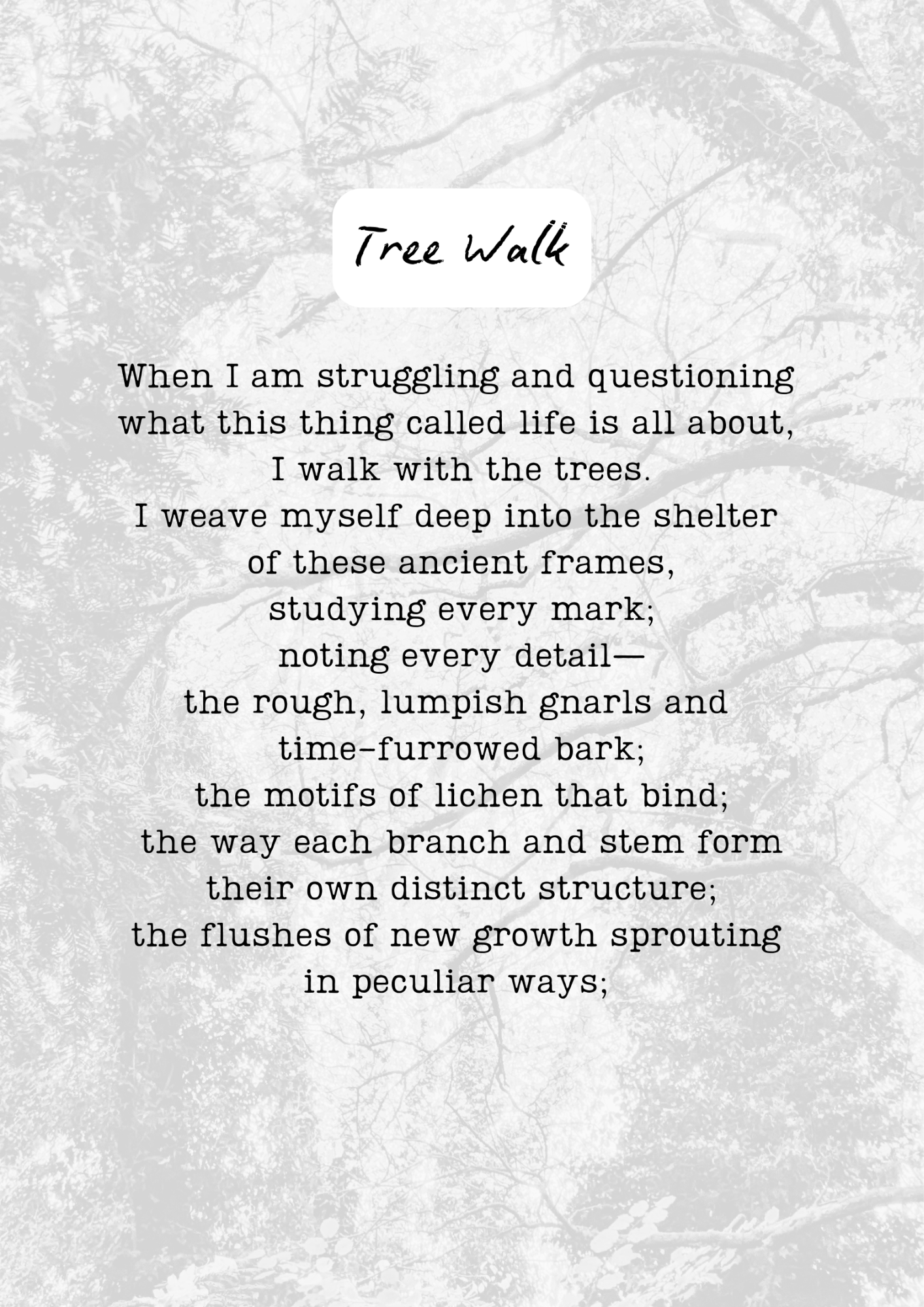 Tree Walk – Laura Benn